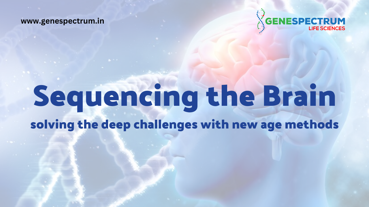 Sequencing the Brain: Shaping the Future of Neurological Research ...